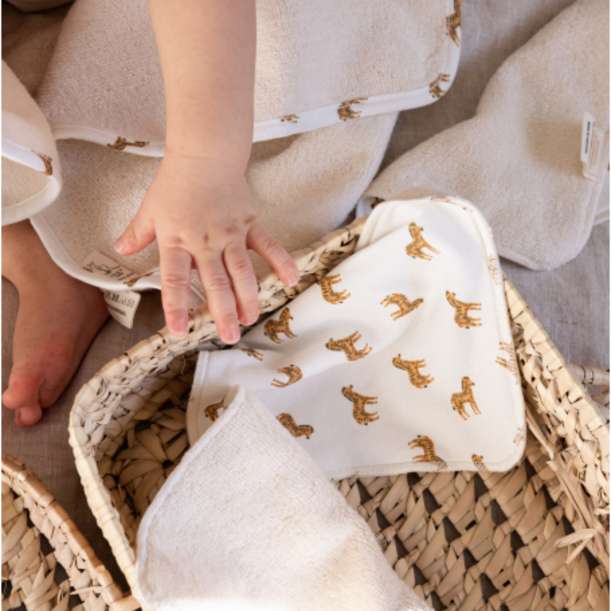 Zebra Birth Kit - Studio Romeo x Joey Paris